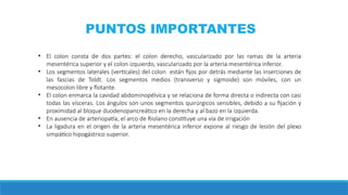 Anatomía quirúrgica de toda la extensión del colon.pptx