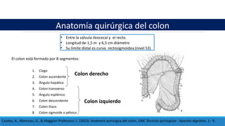 Anatomía quirúrgica de toda la extensión del colon.pptx