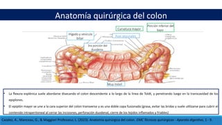 Anatomía quirúrgica de toda la extensión del colon.pptx