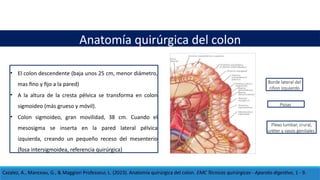 Anatomía quirúrgica de toda la extensión del colon.pptx