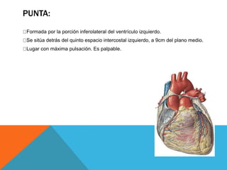 Anatomía del corazón | PPTX