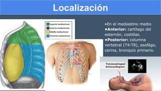 Anatomía normal del corazón y su fisiología | PPTX