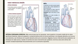 ANATOMÍA DEL CORAZÓN.pptx para estudio de su estructura | PPTX