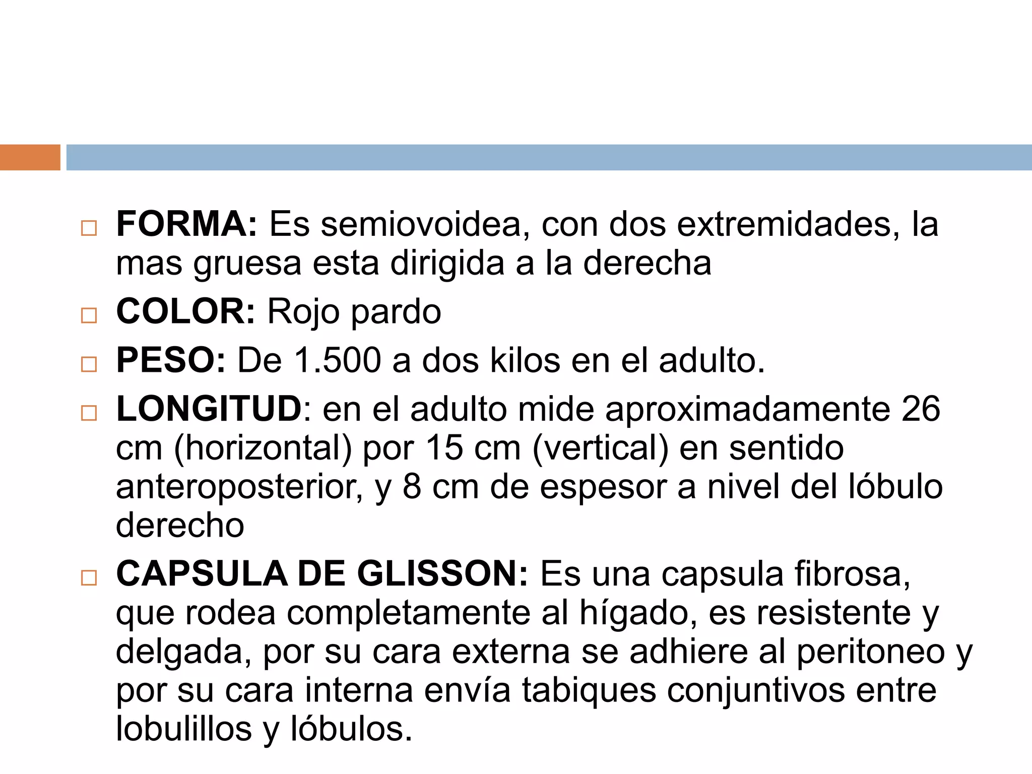 Anatom a del_h_gado | PPT