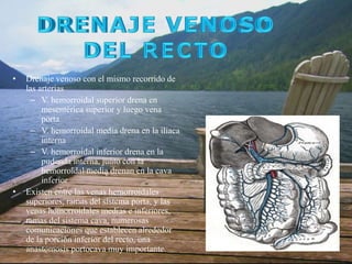 Anatomía del intestino delgado y grueso | PPTX