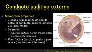 Anatomía del oído y hueso temporal en imagen | PPTX