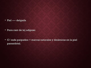 Anatomía de los párpados parte 2 | PPT