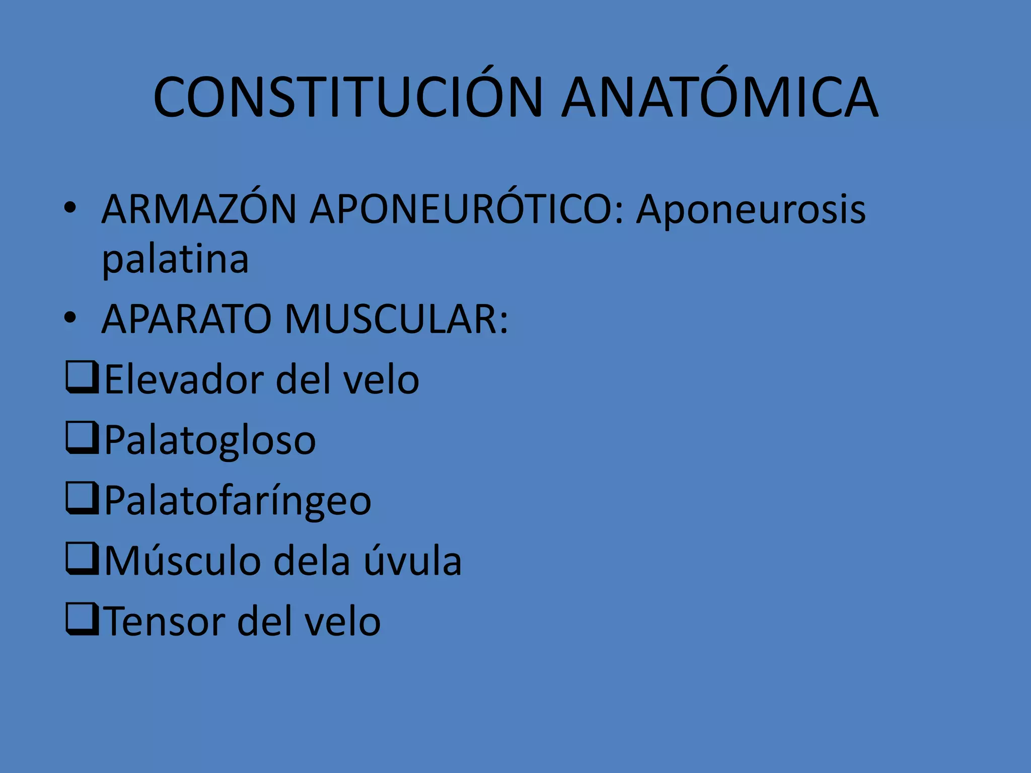 Anatomía del paladar | PPTX
