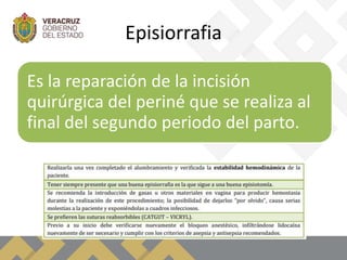 Anatomía del periné y episiotomía | PPTX