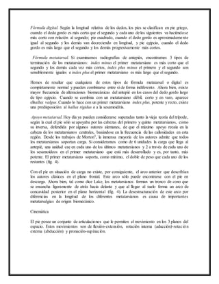 Anatomía del pie tobillo | DOCX