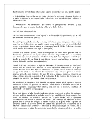 Anatomía del pie tobillo | DOCX