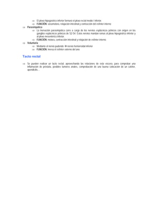 Anatomía del recto | PDF