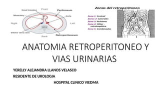 anatomy retroperitoneo anatomia de campbell | PPTX