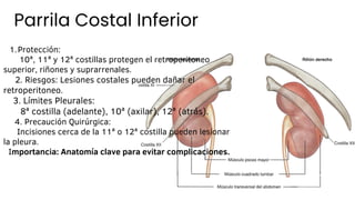 ANATOMÍA DEL RETROPERITONEO Y VIAS URINARIAS ALTAS.pdf