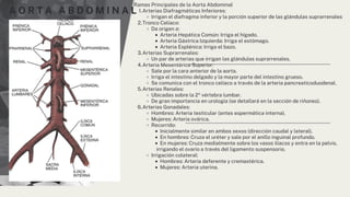 ANATOMÍA DEL RETROPERITONEO Y VIAS URINARIAS ALTAS (1).pdf
