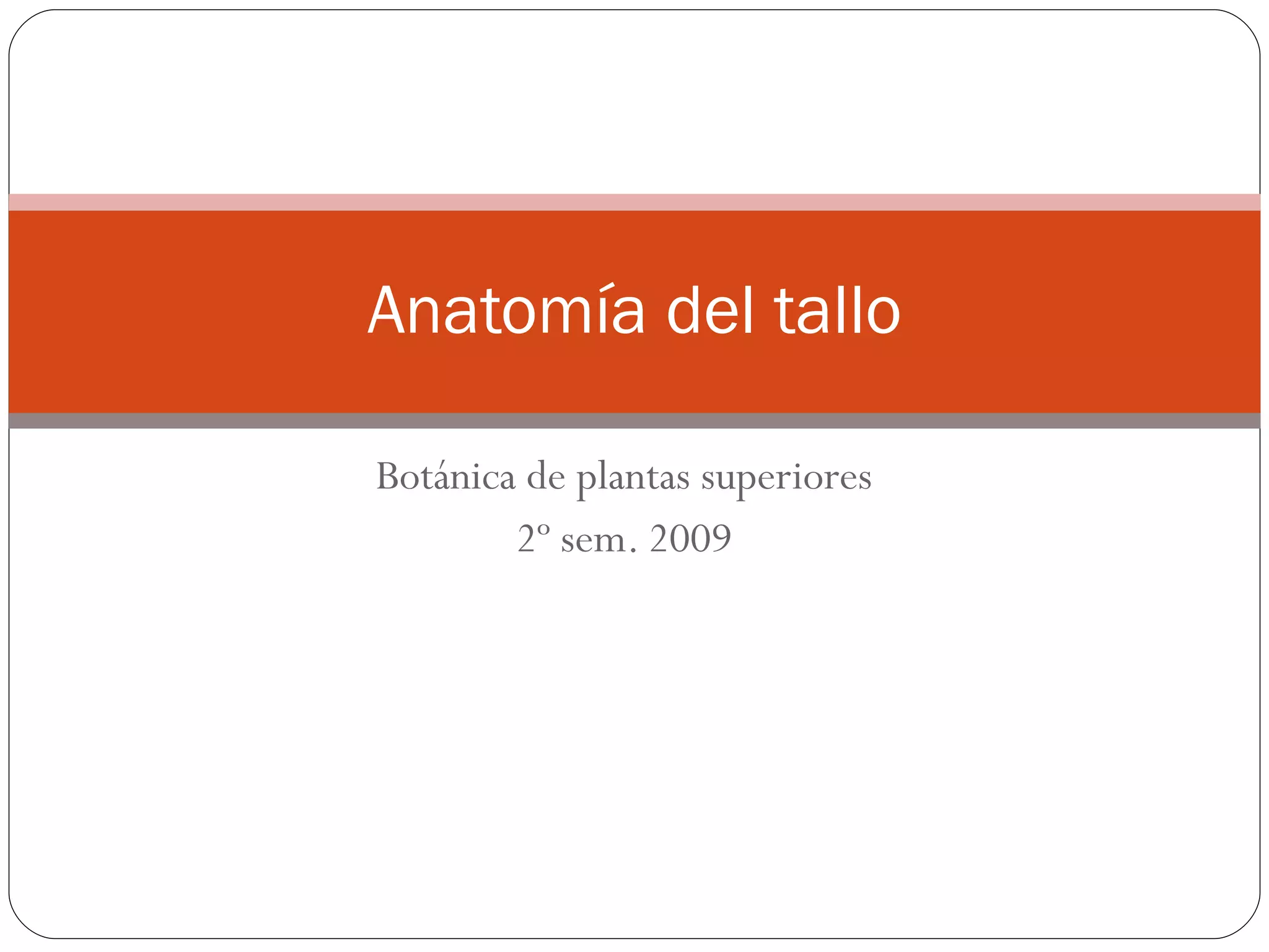 Anatomía del Tallo | PPT