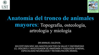 Anatomía del tronco de animales mayores UST.pptx