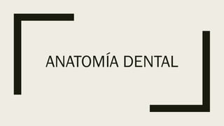 Anatomía dental_caras de los dientes.pptx