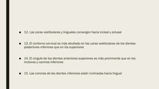 Anatomía dental_caras de los dientes.pptx