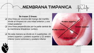 Anatomía de oído, nariz y garganta.pptx