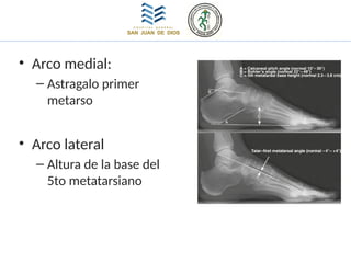Anatomía de pie y radiologia del pie ppt | PPTX