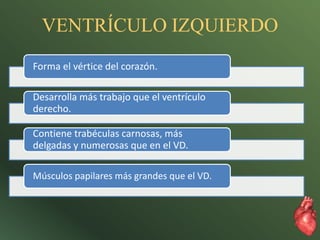 Anatomía e histología del corazón | PPTX