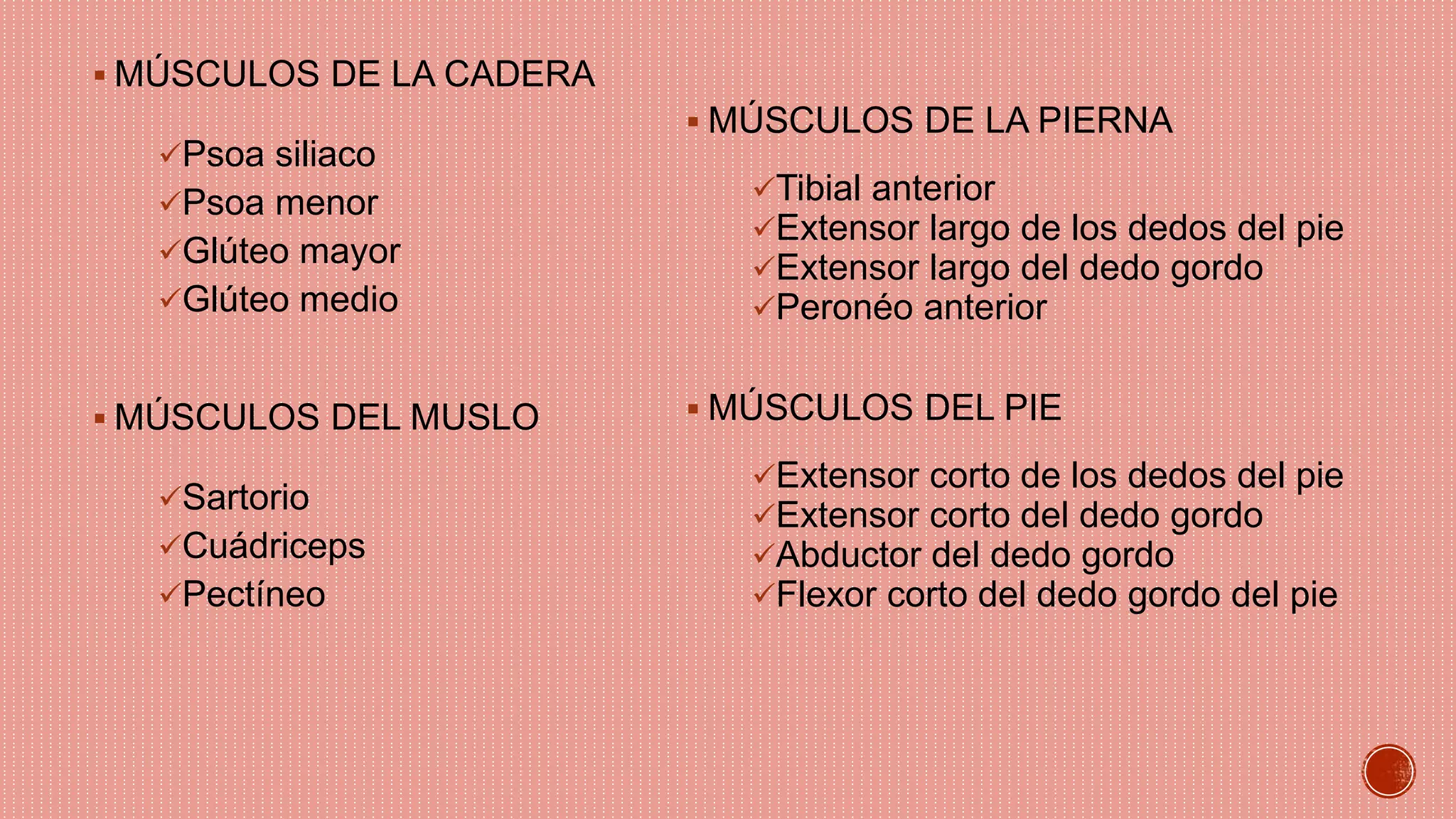 ANATOMIA MUSCULOS DEL SER HUMANO | PPT