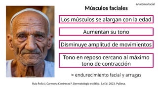 Anatomía en el Envejecimiento Facial | PPTX