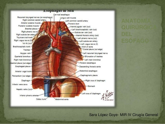 Diagramadeesofagoparacriancas