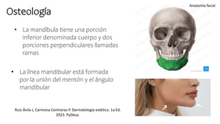 Anatomía Facial | PPTX