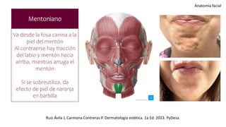 Anatomía Facial | PPTX