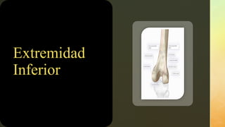 Anatomíafemur.pptx