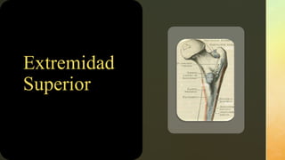 Anatomíafemur.pptx