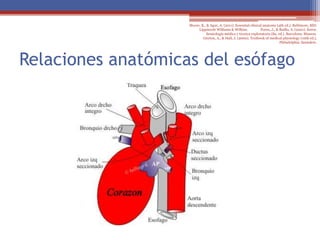 Anatomía, fisiología y semiología de los padecimientos esofágicos | PPTX