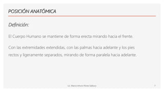 Anatomía funcional | PDF