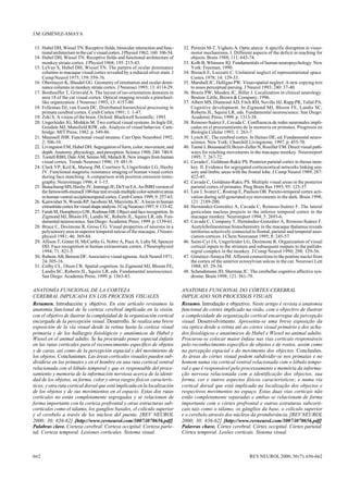 Anatomía funcional de la corteza cerebral implicada en los procesos ...