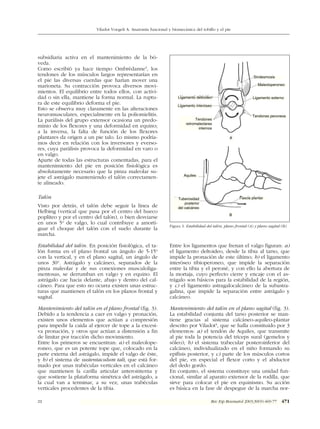 Anatomía funcional y biomecánica del tobillo y el pie.pdf