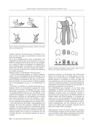 Anatomía funcional y biomecánica del tobillo y el pie.pdf