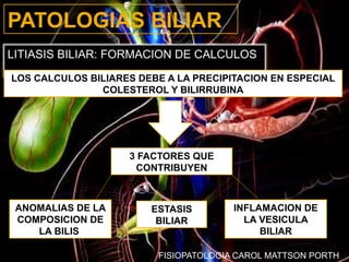ANATOMIA HEPATICA, DESCRIPCION, SEGMENTOS | PPTX