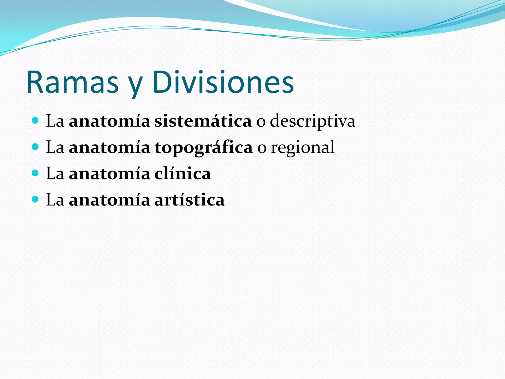 Anatomía humana | PPTX | Biological Sciences | Science
