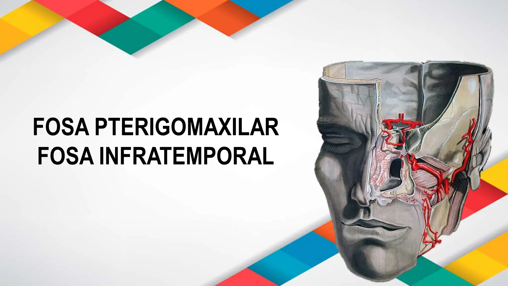 Anatomía. FOSA PTERIGOMAXILAR-FOSA INFRATEMPORAL.pptx
