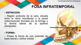 Anatomía. FOSA PTERIGOMAXILAR-FOSA INFRATEMPORAL.pptx