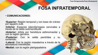 Anatomía. FOSA PTERIGOMAXILAR-FOSA INFRATEMPORAL.pptx