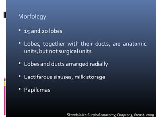 Anatomía mamaria | PPT