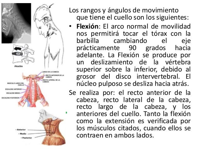 Movimientos del cuello