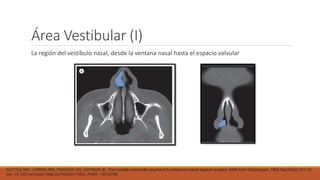 Anatomía microquirúrgica de región selar y fosas nasales.pptx