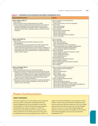 Anatomía Moore cranea.pdf