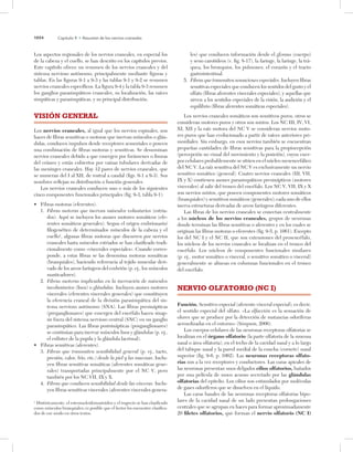Anatomía Moore cranea.pdf