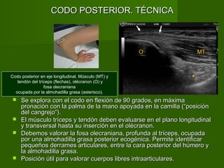 Anatoma normal del_codo | PPT