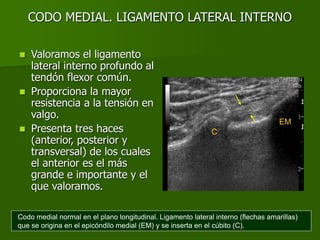 anatoma_normal_del_codo.ppt